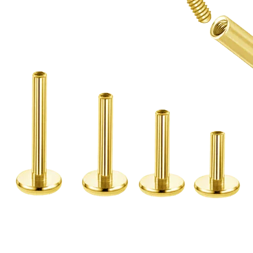 Ampallang & Apadravya Piercings - The Definitive Guide – piercing-zone.com